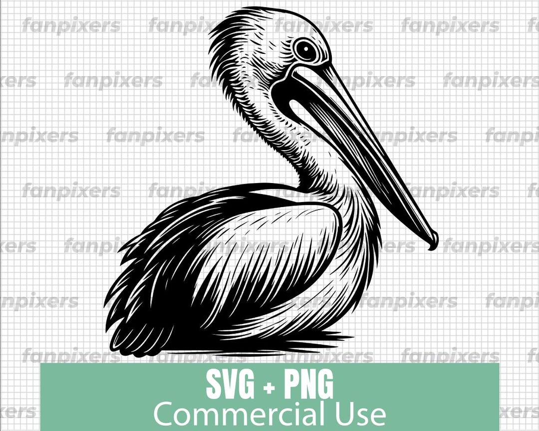 Pelican SVG and PNG Perfect for Commercial Use, Digital Download, Great ...