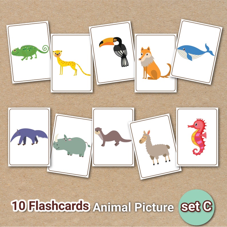 Numbers Flashcards and Worksheets Set 3, Animal Counting Cards ...