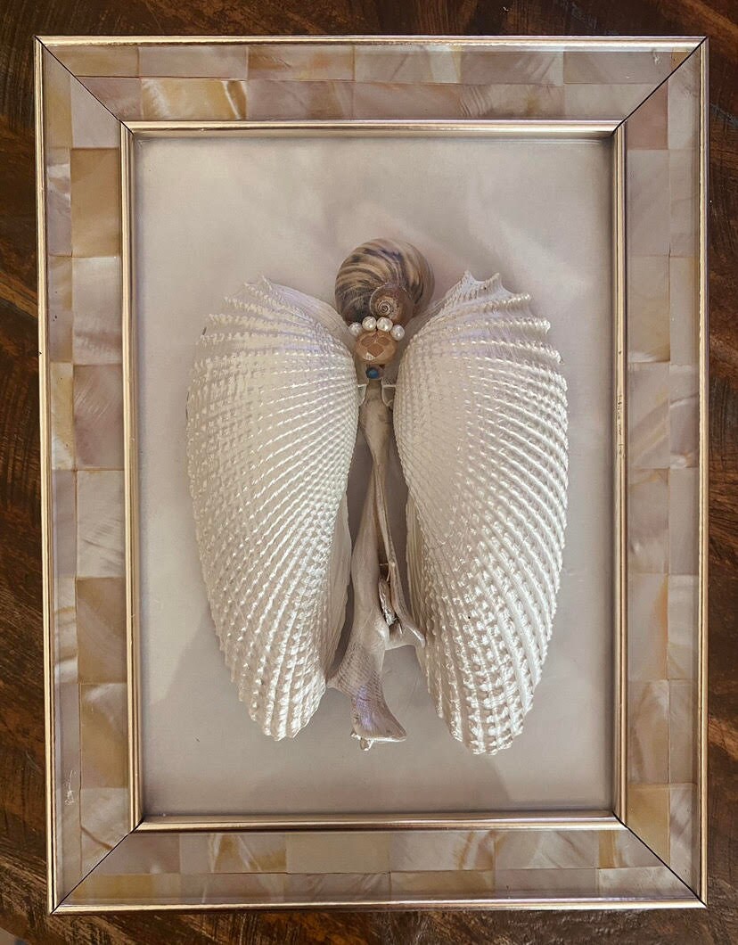 Collection of Angel Wing Seashells - Etsy