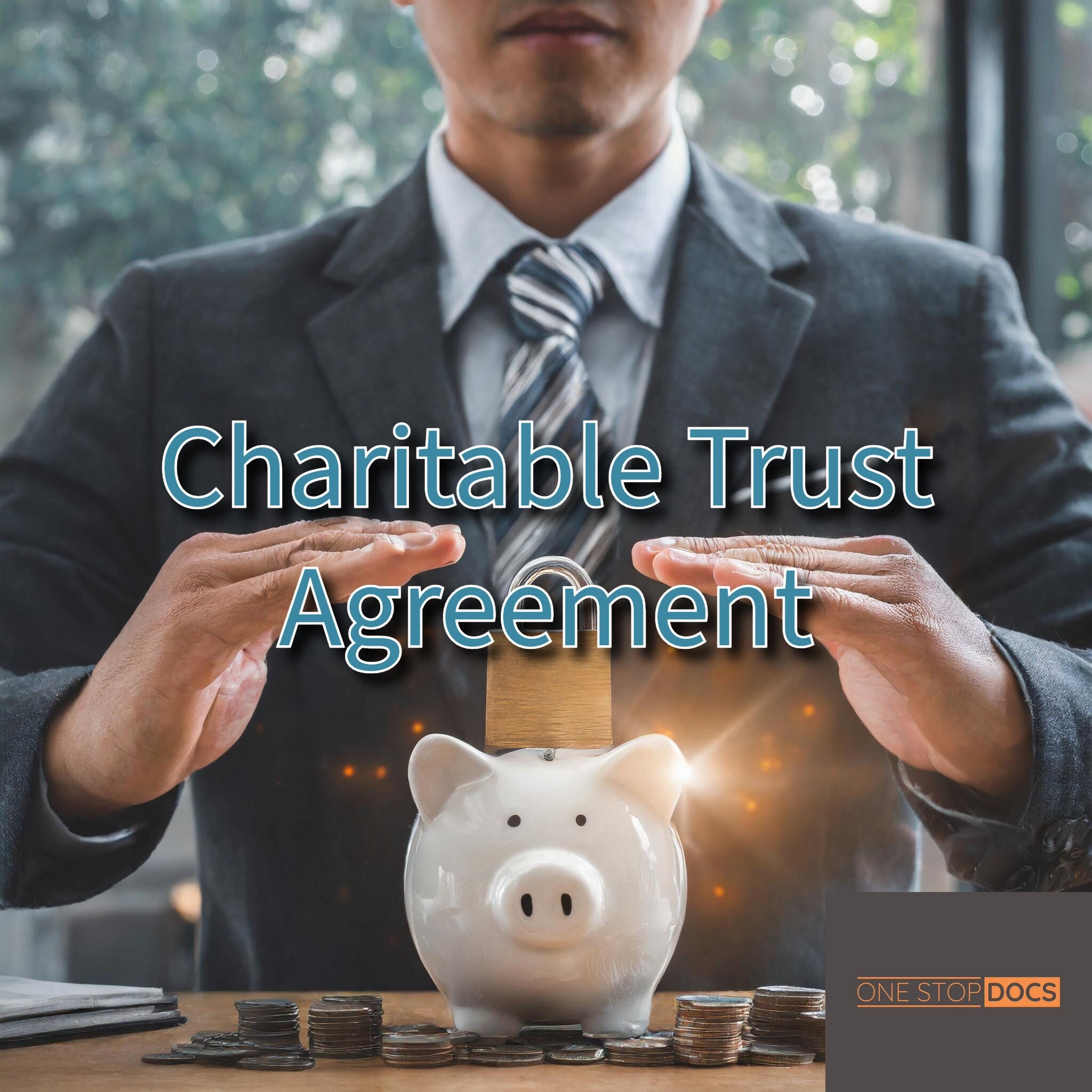 Charitable Trust Agreement Template - Etsy