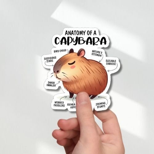 Cute Capybara Sticker, Capybara Decal, Cute Animal Sticker, Stationary ...
