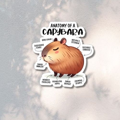 Cute Capybara Sticker, Capybara Decal, Cute Animal Sticker, Stationary ...