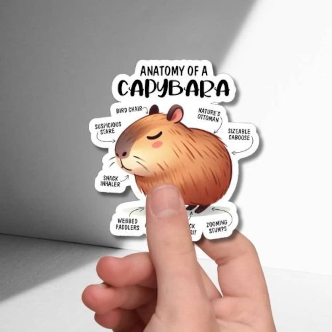 Cute Capybara Sticker, Capybara Decal, Cute Animal Sticker, Stationary ...