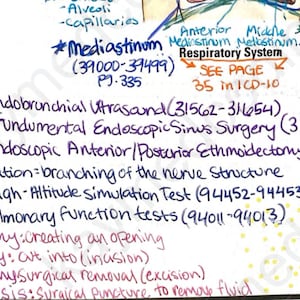 2024 CPT Surgery / Respiratory System Book Notes - Etsy