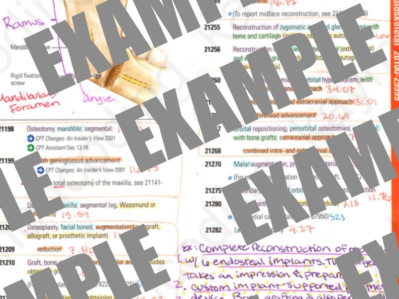 2025 CPT Musculoskeletal System Notes: Medical Coding Guidelines ...