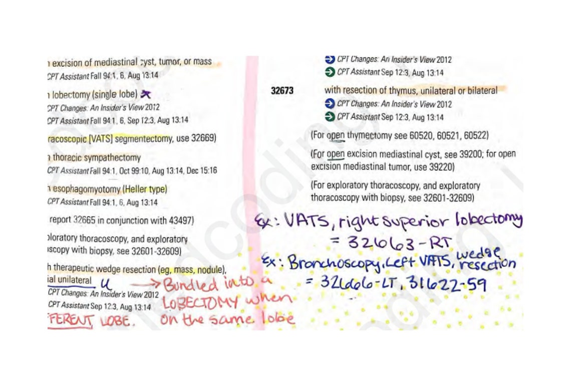2024 CPT Surgery / Respiratory System Book Notes - Etsy