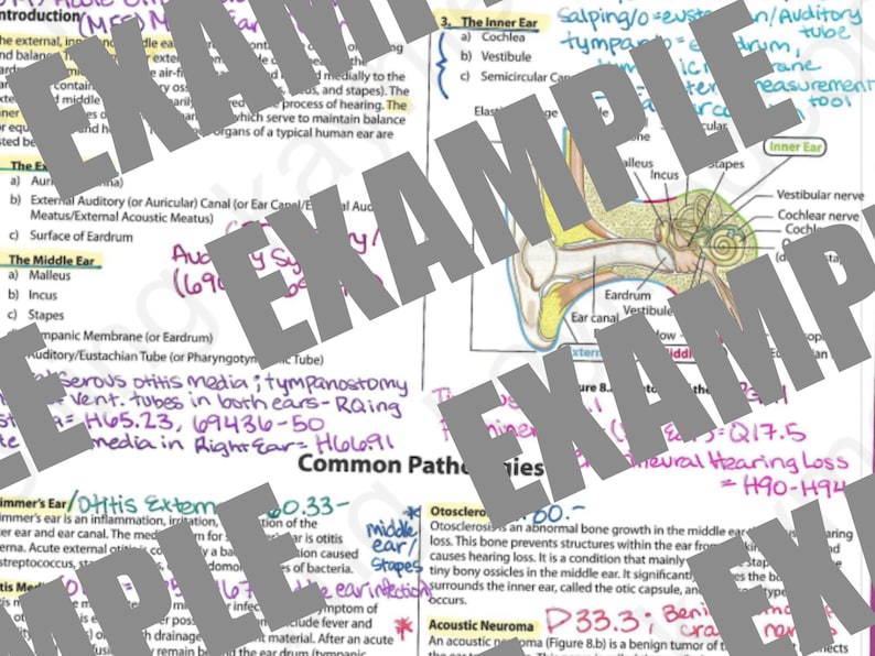 2025 ICD-10-CM Chapter 8 Ear & Mastoid Guideline Notes (PDF Download ...