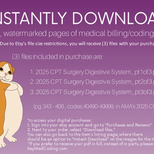 2025 CPT Surgery Digestive System Book Notes - Etsy