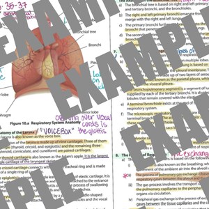 2025 ICD-10-CM Respiratory System Guidelines: Medical Coding Notes (PDF ...