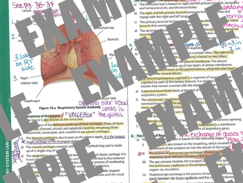 2025 ICD-10-CM Respiratory System Guidelines: Medical Coding Notes (PDF ...