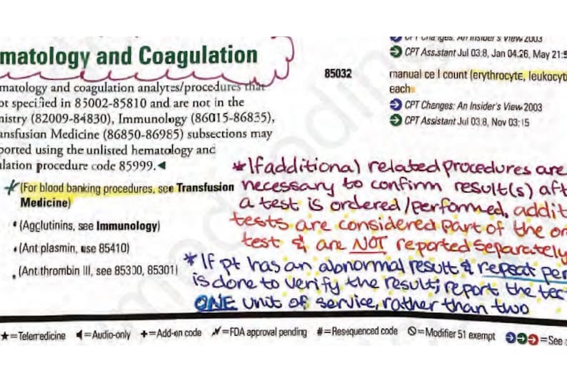 2024 CPT Pathology and Laboratory - CPT Book Notes - Etsy