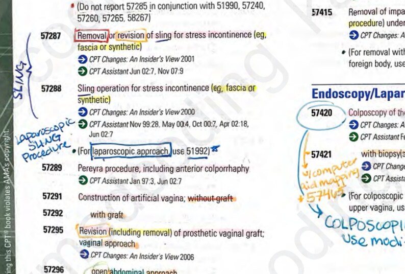 2024 CPT Surgery / the Female Genital and Endocrine System CPT Book ...