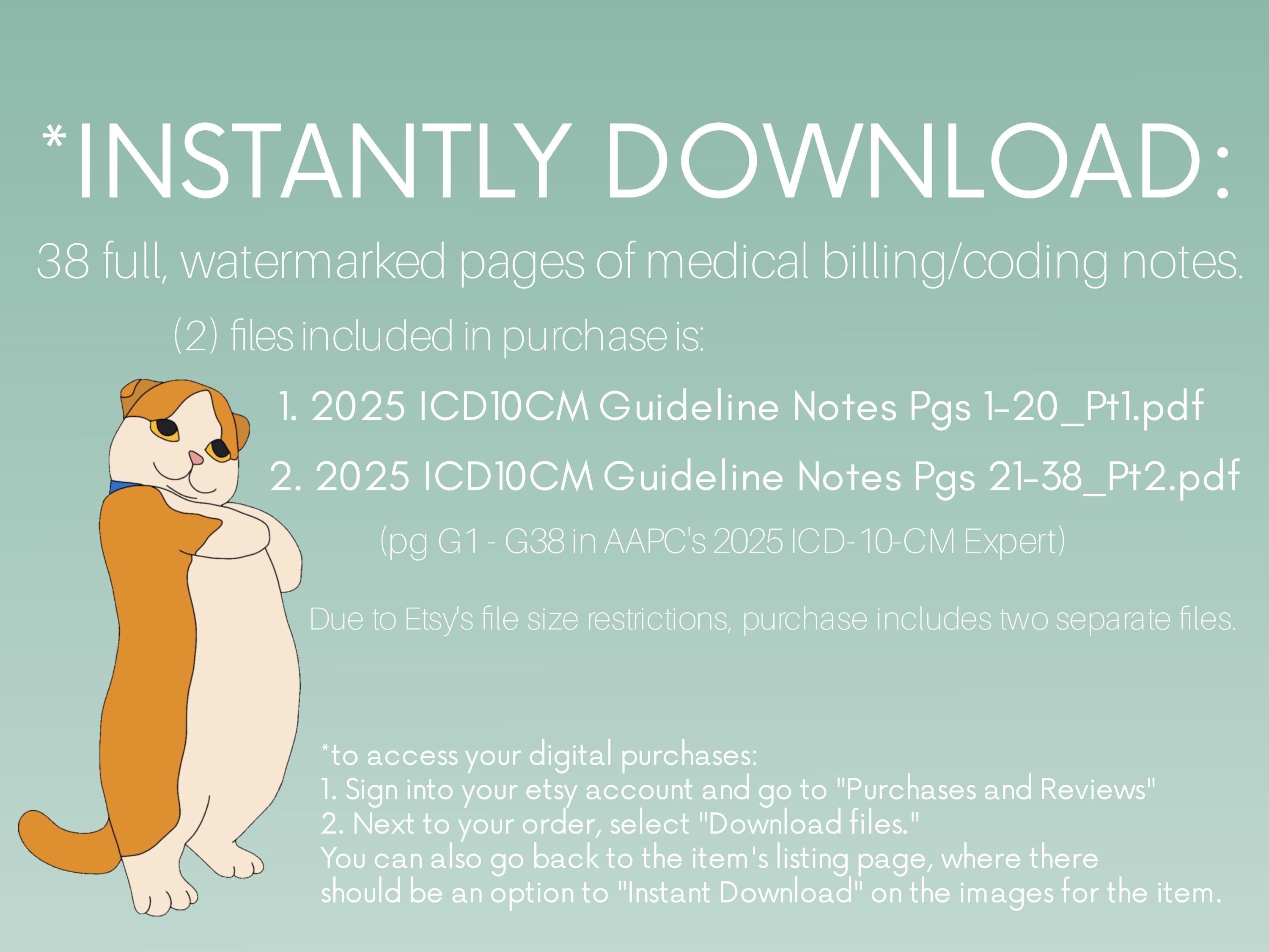 2025 ICD-10-CM Guideline Notes FULL 38 Pages - Etsy