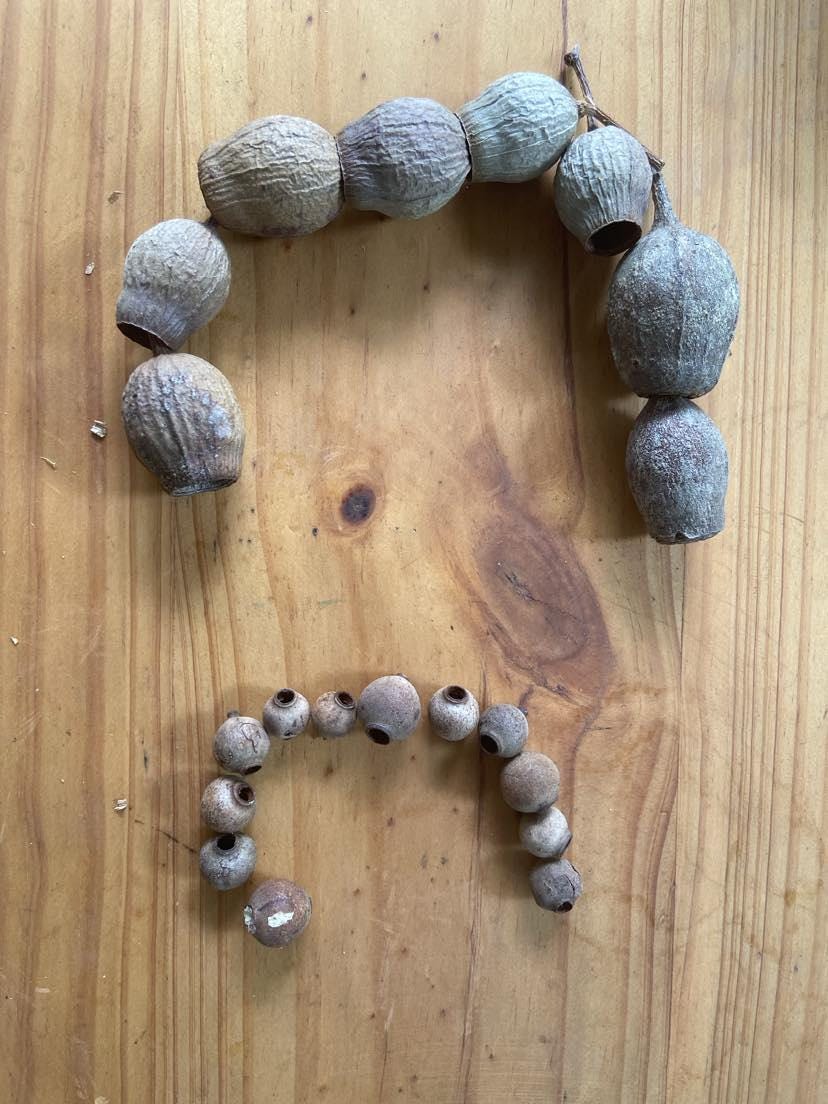 Natural Alphabet Classroom Display - Etsy