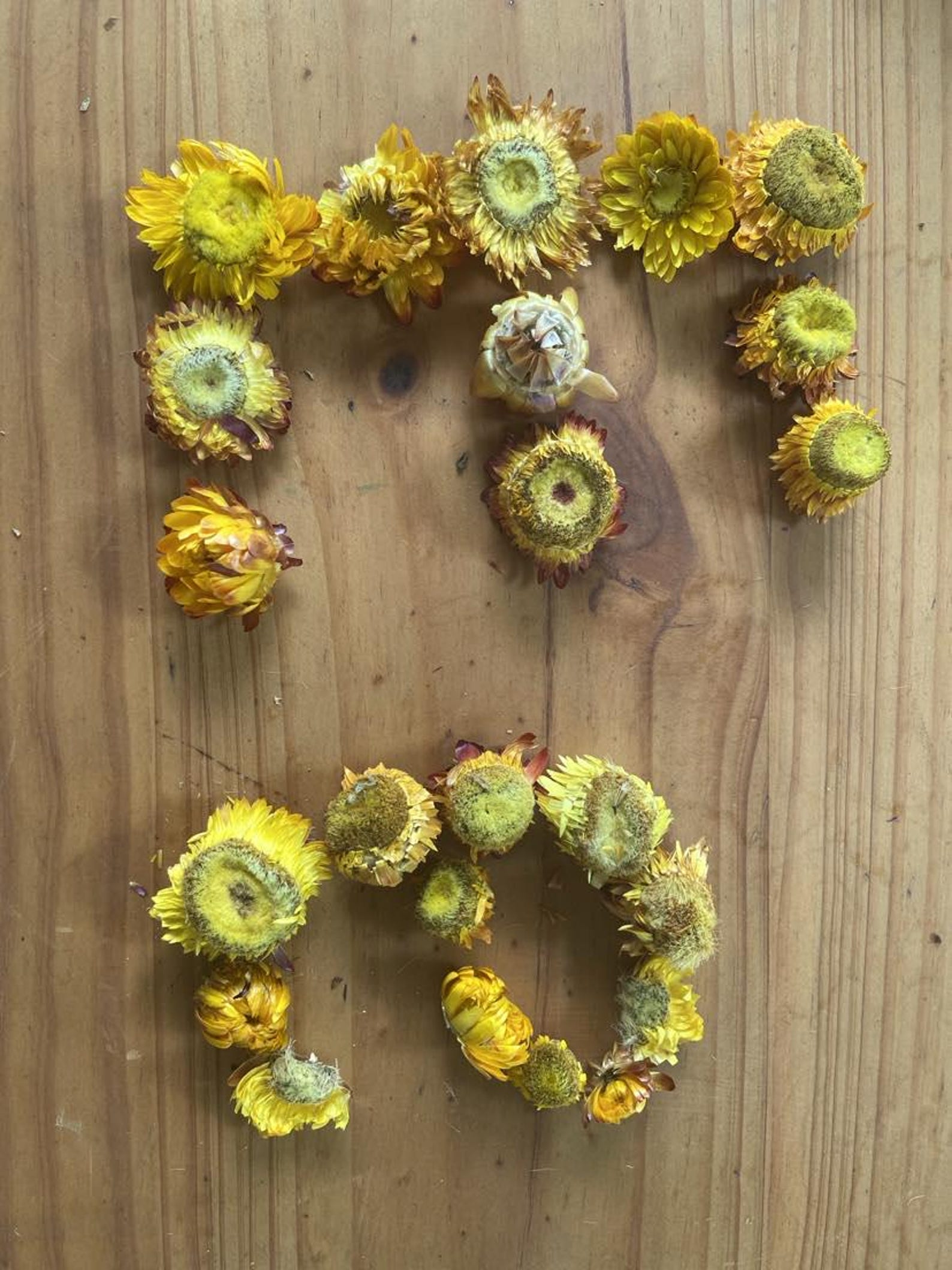 Natural Alphabet Classroom Display - Etsy