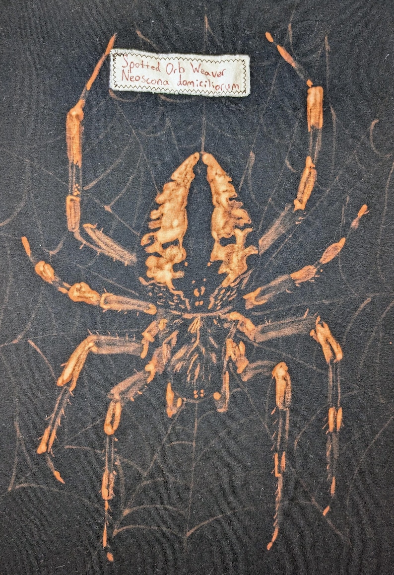 Spotted Orb Weaver Spider A4 Print - Etsy
