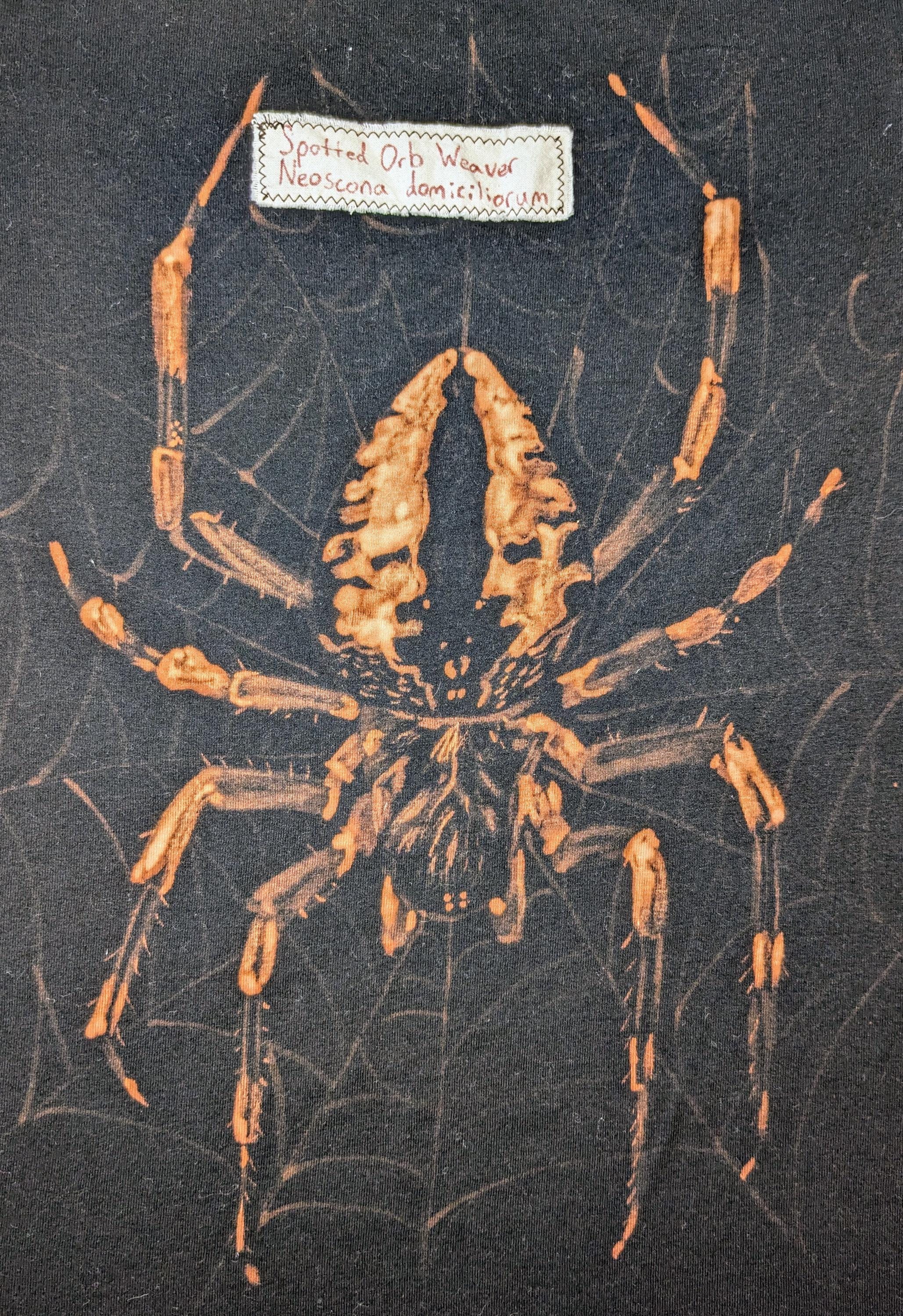 Spotted Orb Weaver Spider A4 Print - Etsy
