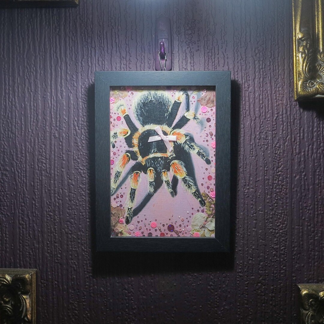 Mexican Red Knee Tarantula Original Oil Painting - Etsy