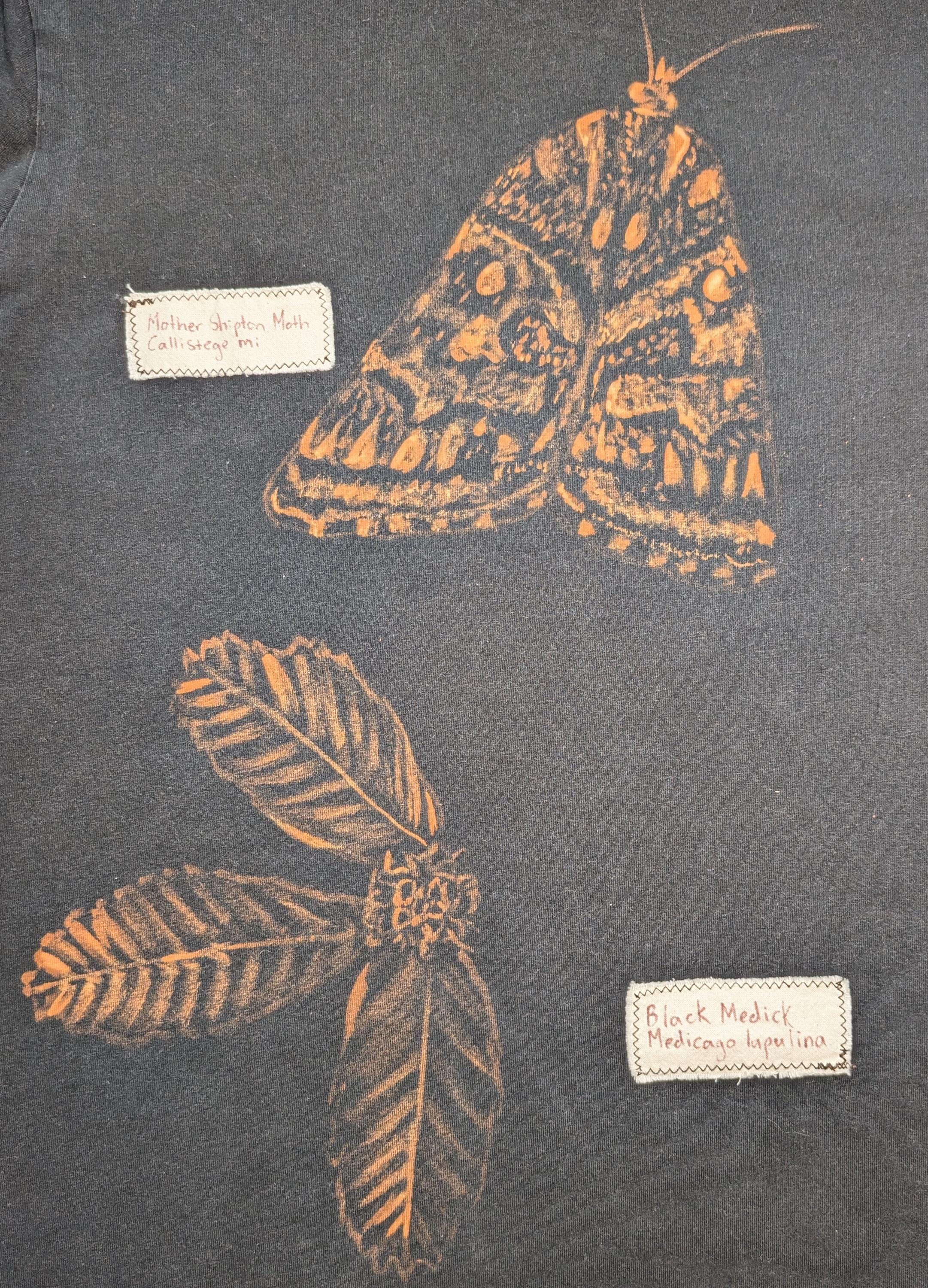 Mother Shipton Moth A4 Print - Etsy