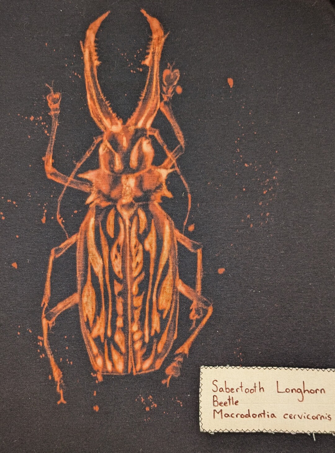 Sabertooth Longhorn Beetle A4 Print - Etsy