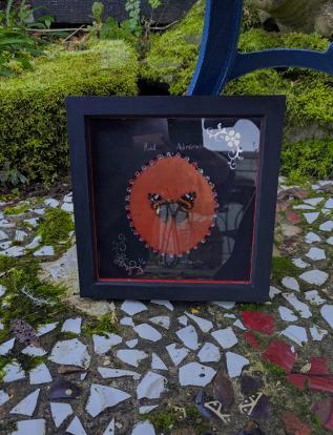 Red Admiral, Critter Memorial - Etsy