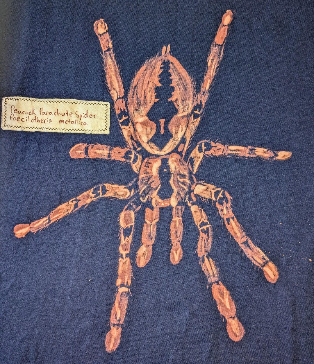 Peacock Parachute Spider A4 Print - Etsy