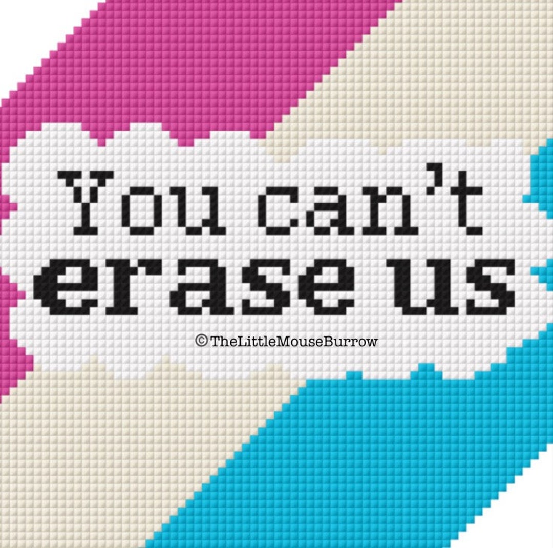 Trans You Can’t Erase Us Cross Stitch Pattern - Etsy