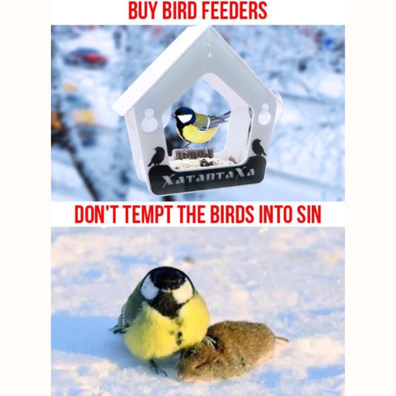 Clear Acrylic Window Bird Feeder With Suction Cups Transparent Wildlife ...