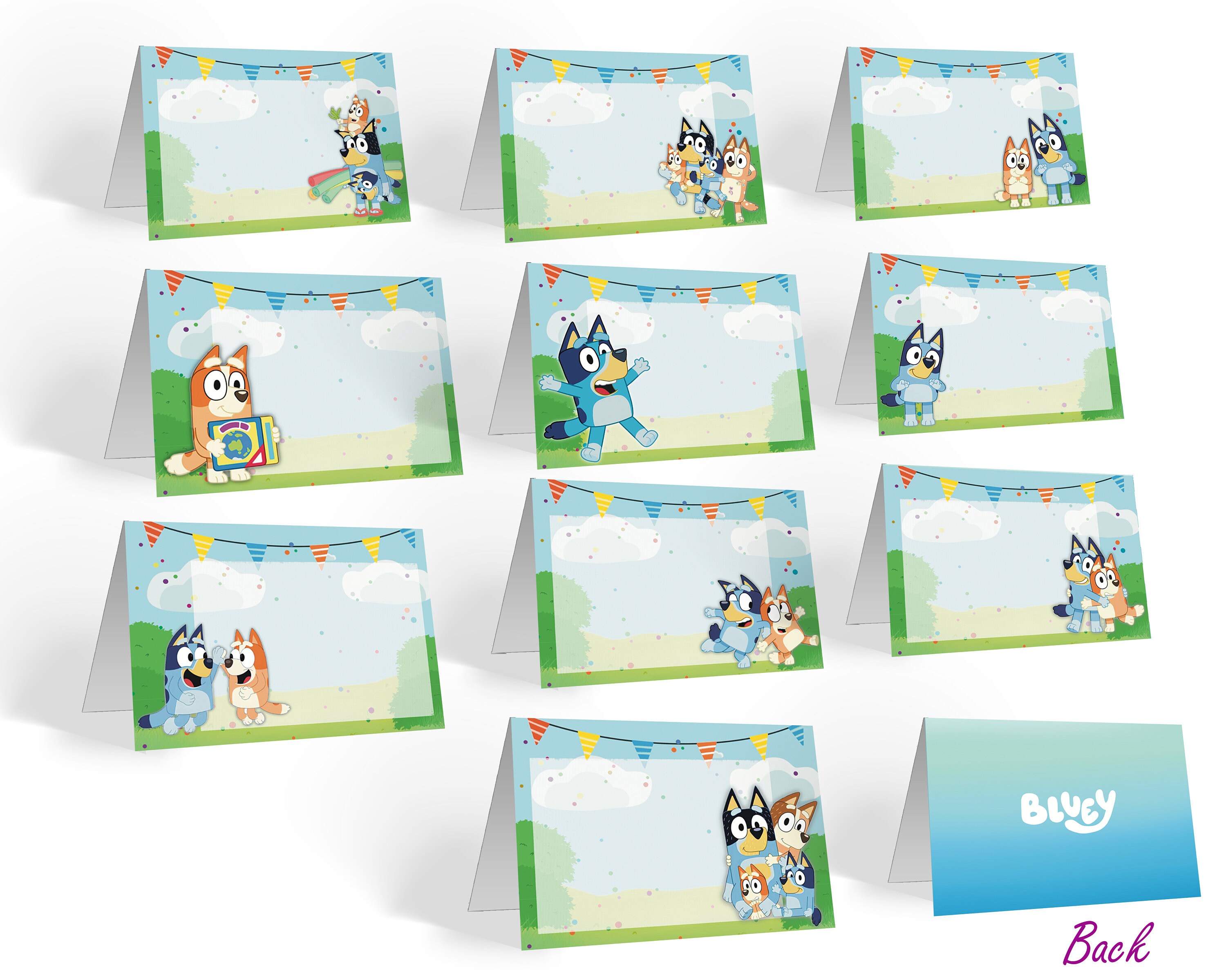 10 Different Bluey and Bingo Birthday Party Place Card, Party Decor ...