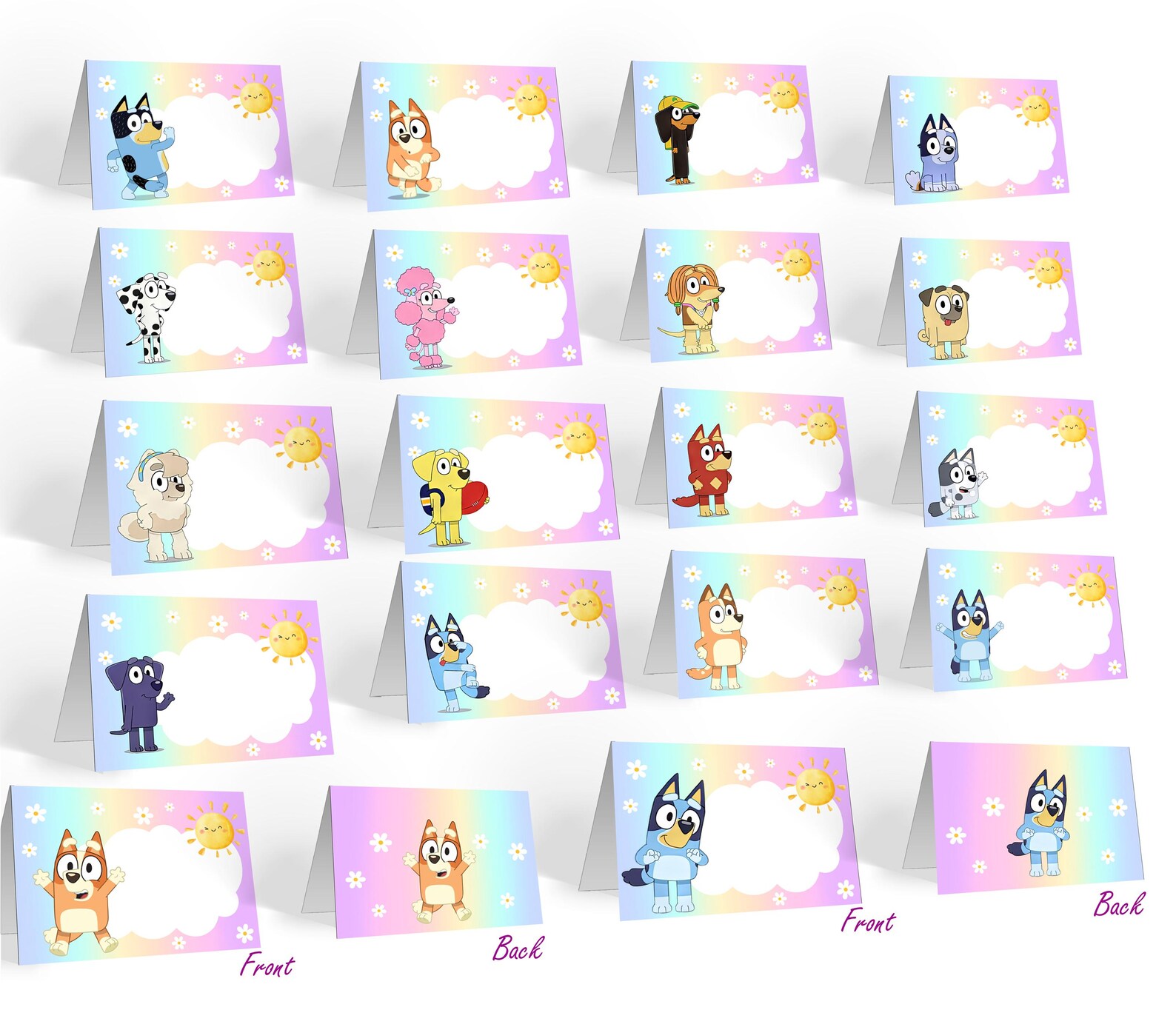 18 Different Rainbow Blue and Bingo Birthday Party Place Card, Party ...