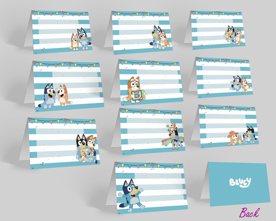 10 Different Bluey and Bingo Birthday Party Place Card, Party Decor ...