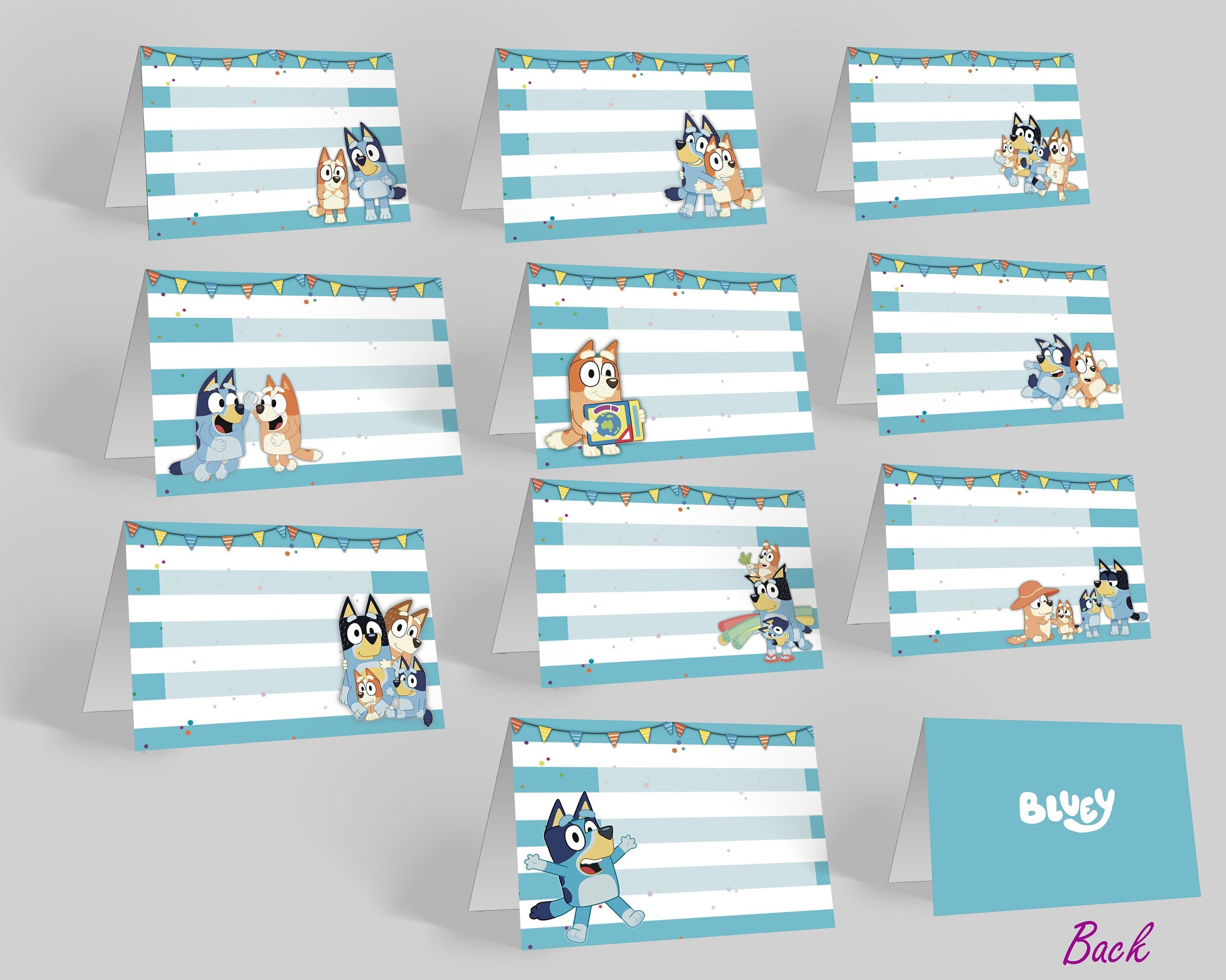 10 Different Bluey and Bingo Birthday Party Place Card, Party Decor ...