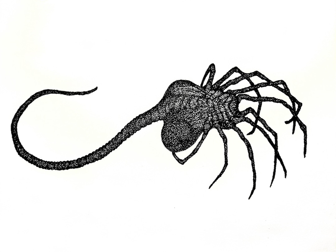 Original Stippled Alien Facehugger Drawing - Etsy