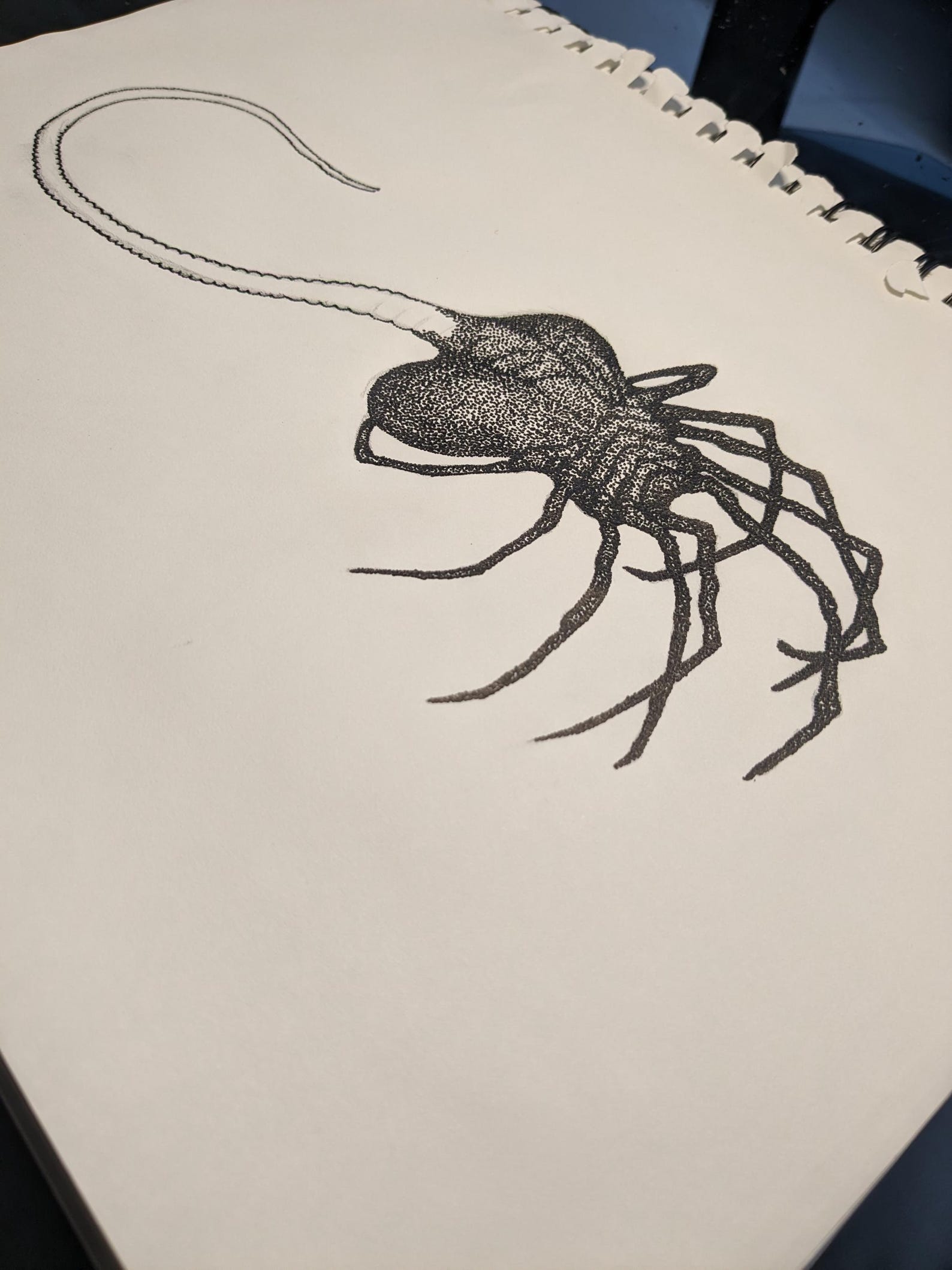Original Stippled Alien Facehugger Drawing - Etsy