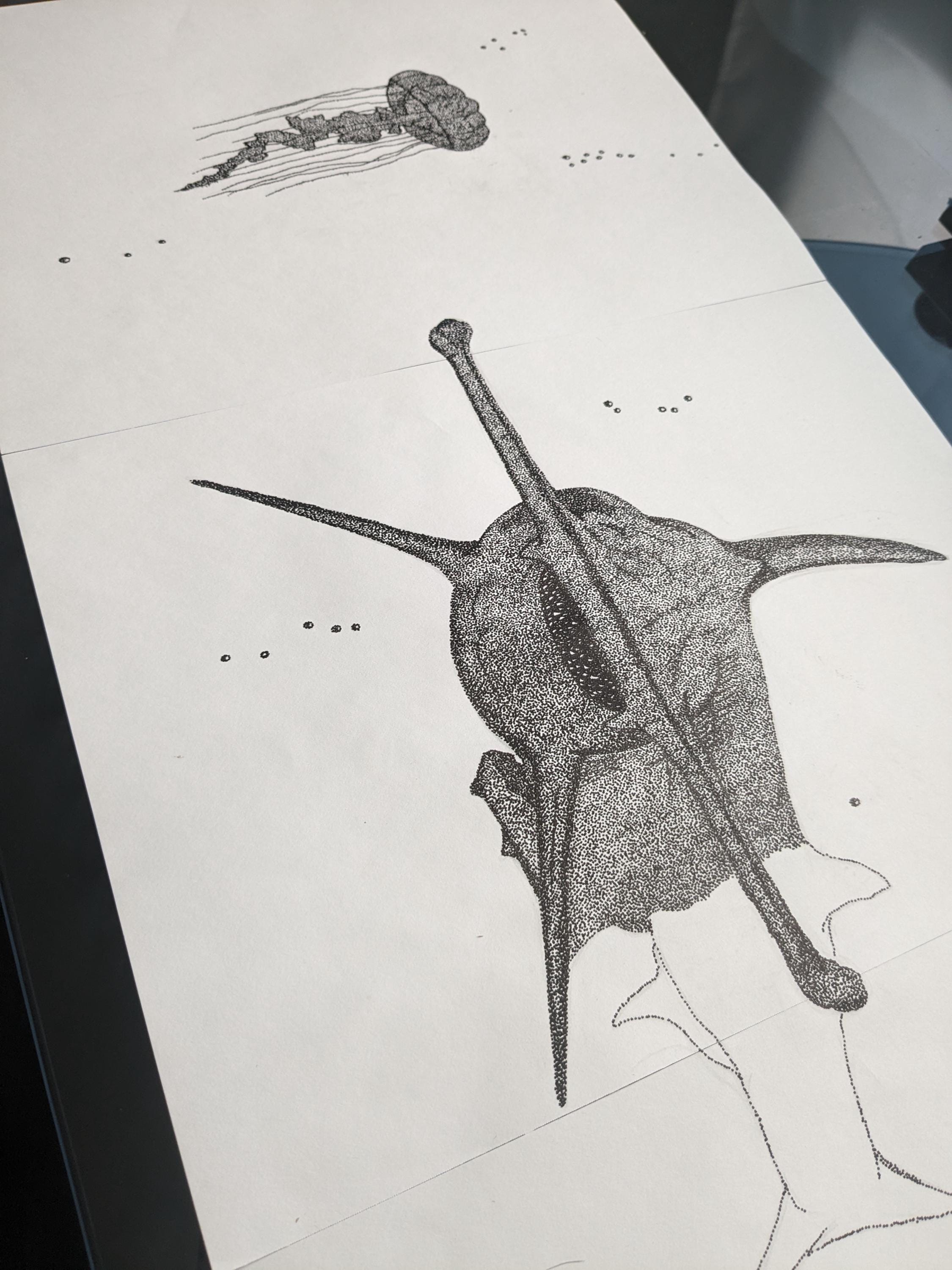 Original Stippled Hammerhead Shark Drawing - Etsy