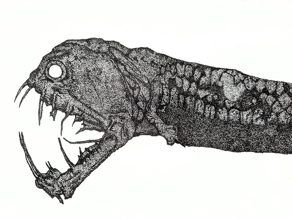 Original Stippled Viperfish Drawing - Etsy