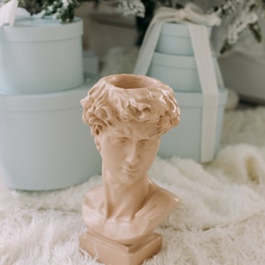 Roman David Bust Statue Flowerpot Home Decor Gift Bathroom Statue David ...