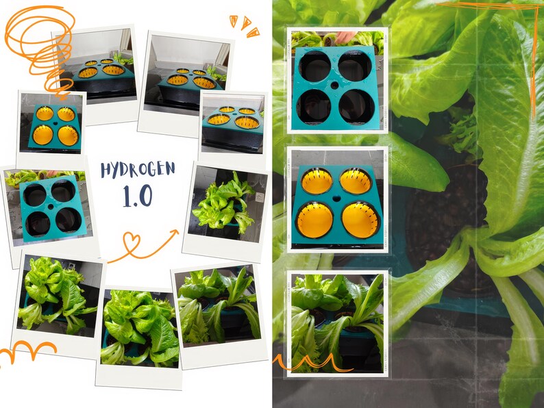 Hydrogen 3D | DIY Hydroponics Kit | 4 Plants | Indoor & Outdoor Farming ...