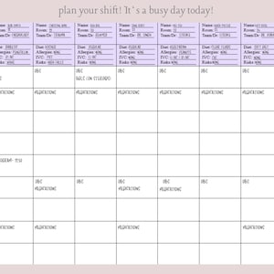 Nurse Daily Shift Planner, 8 Patient Load, Medical Nursing, Shift ...