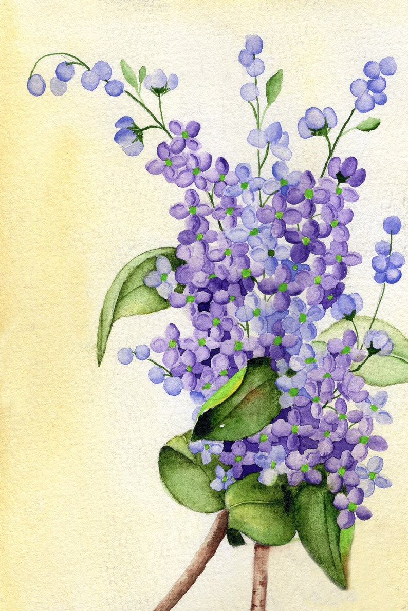 Lilac 2 Digital Download - Etsy