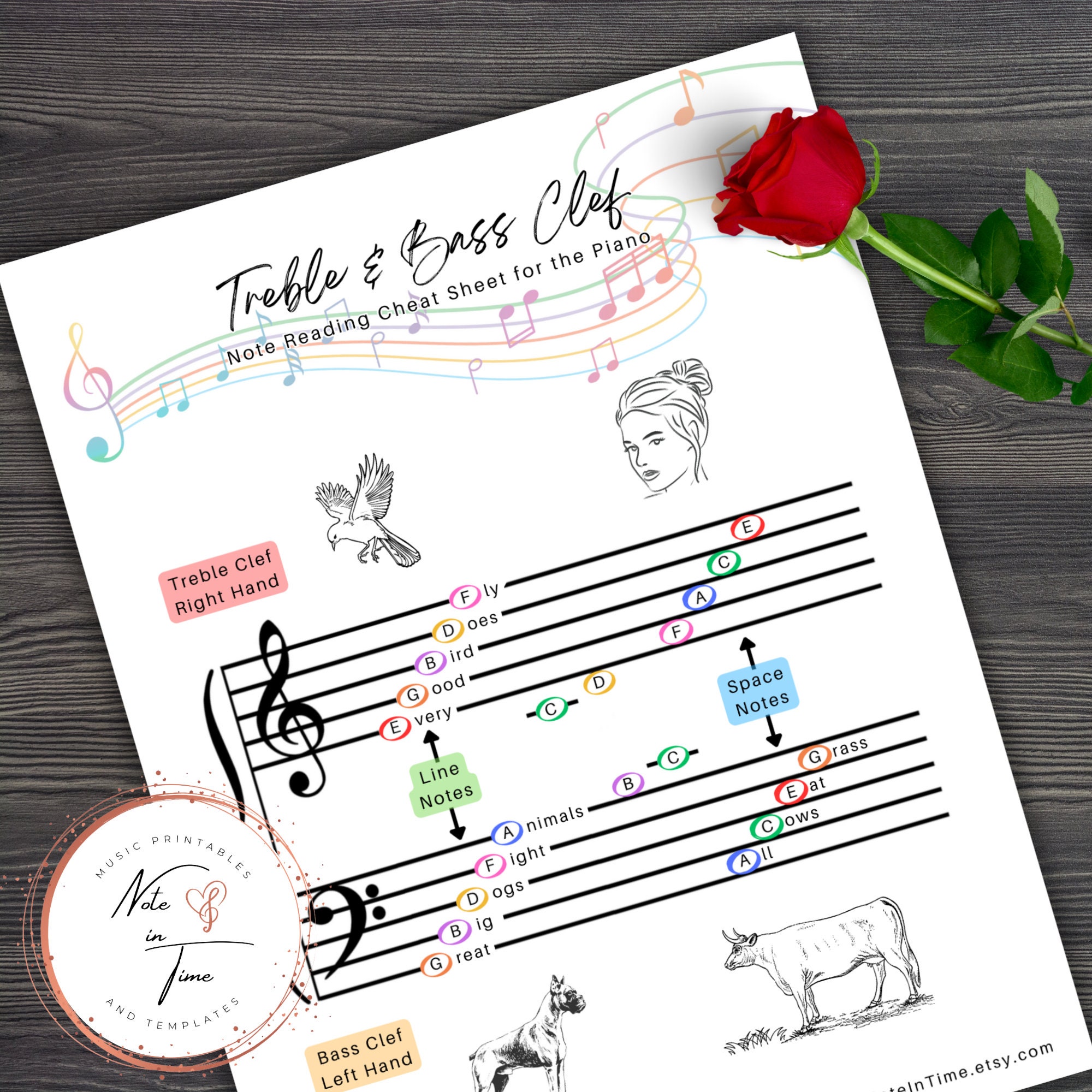 Sheet Music Notes Chart, Piano Teacher Resource, Music Theory Education ...