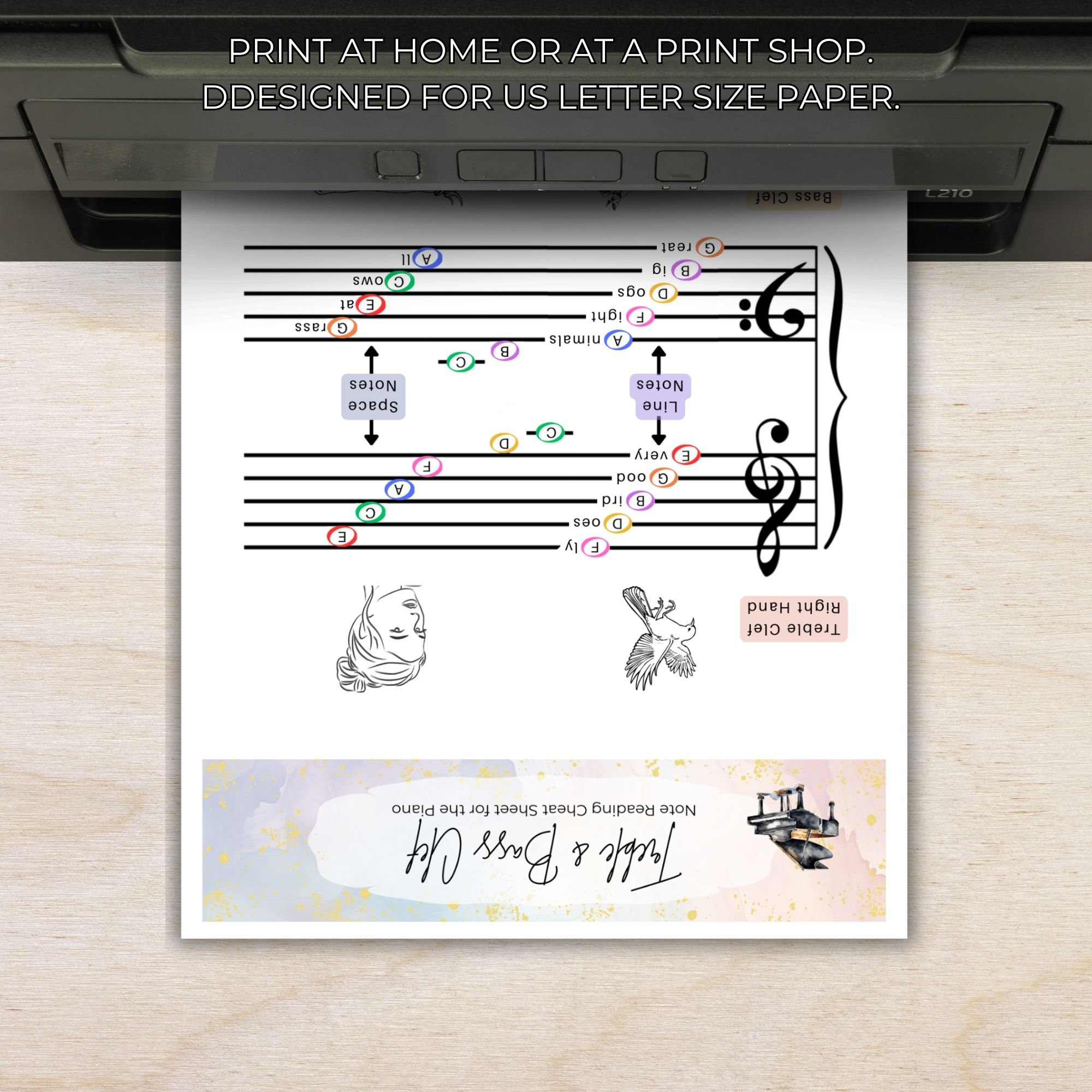 Piano Note Reading Chart, Teacher Resource, Sheet Music Theory ...