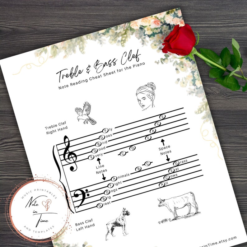 Sheet Music Notes Chart, Piano Teacher Resource, Music Theory Education ...