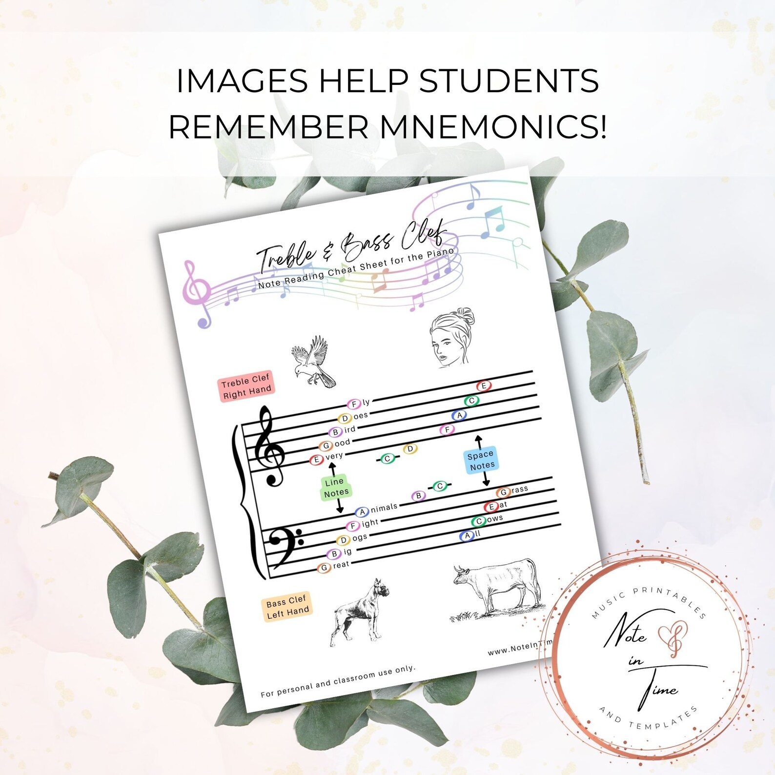 Sheet Music Notes Chart, Piano Teacher Resource, Music Theory Education ...