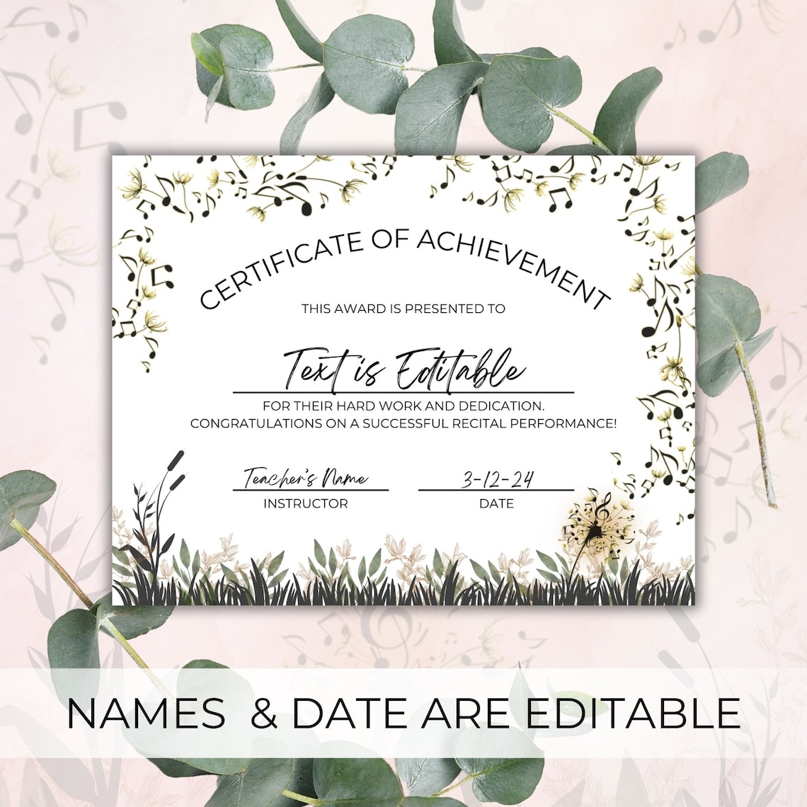 Music Recital Certificate, Achievement Award for Piano Students ...