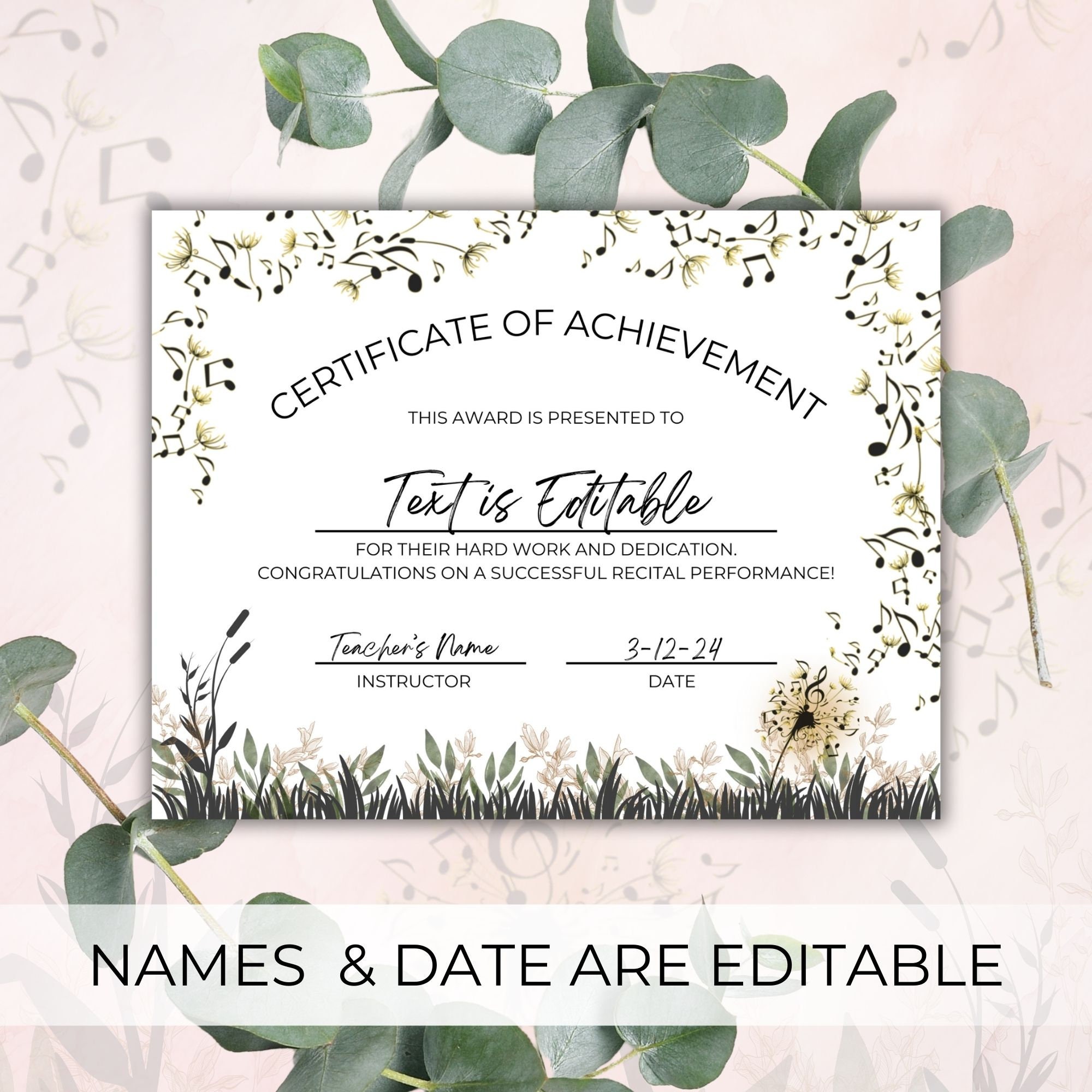 Music Recital Certificate, Achievement Award for Piano Students ...