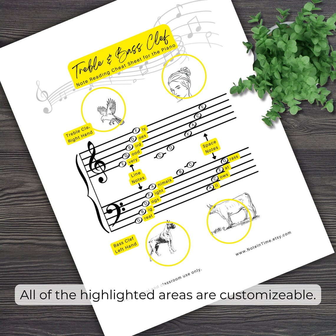 Sheet Music Notes Chart, Piano Teacher Resource, Music Theory Education ...