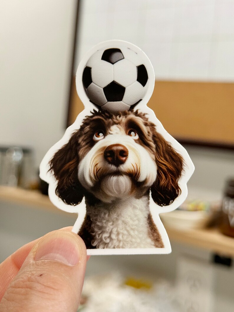 Aussie-doodle Soccer Ball Sticker / Australian Shepherd Poodle Mix ...