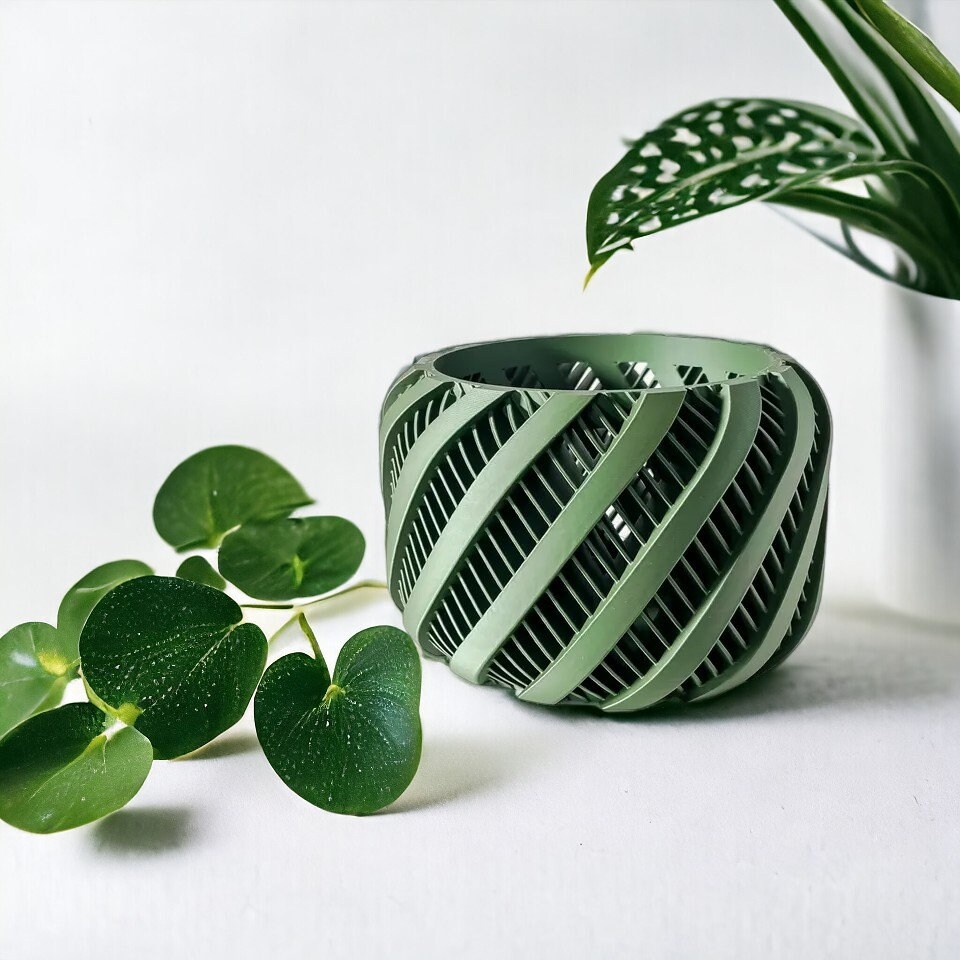 Unique Orchid Planter Pot, Succulent Planter Pot, Indoor Minimalist ...