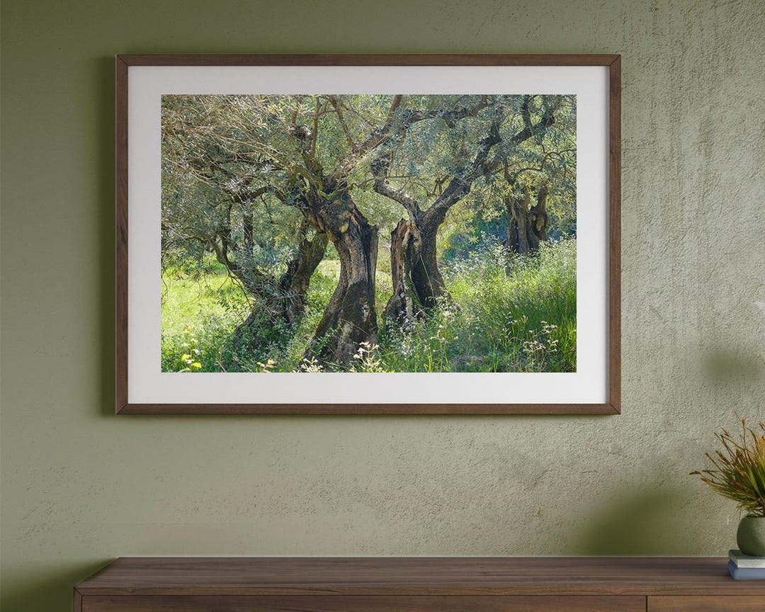In Our Hills the Olive Trees Dance the Cha-cha-cha - Etsy